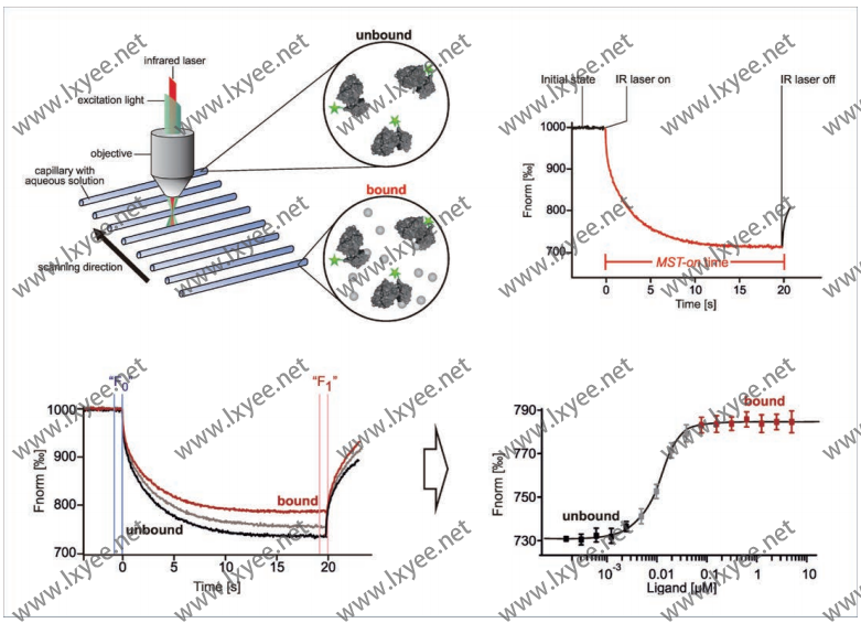 德国NanoTemper微量热泳动仪NT.115